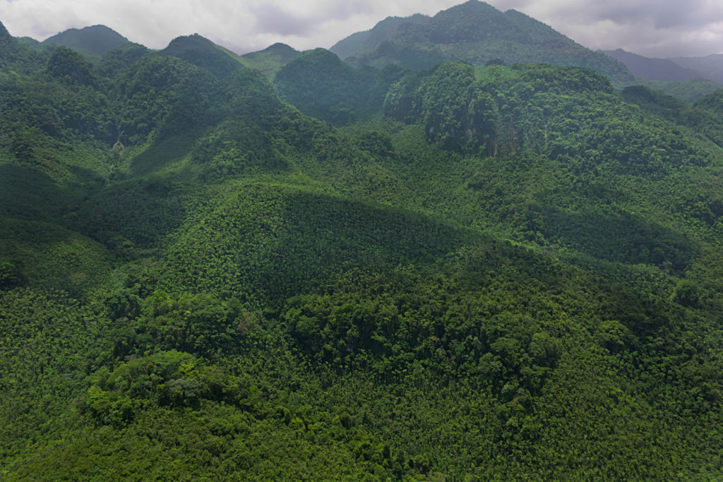 selva-virgen - SECACAO